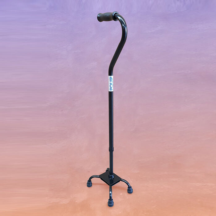 Extensive Range of Walking Sticks > Order Online at the LOWEST prices ...